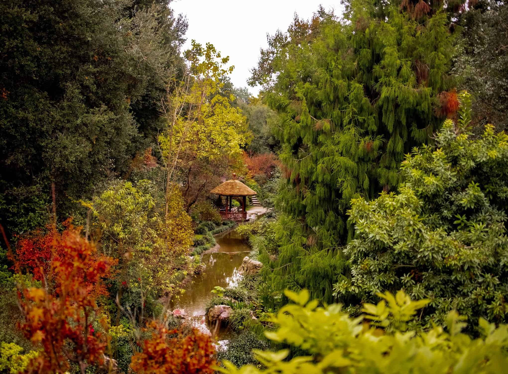 Makkelijke moestuin mix 40L – Kunst van Staal